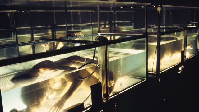 The X-Files S1 Ep24 - The Erlenmeyer Flask | SBS TV & Radio Guide